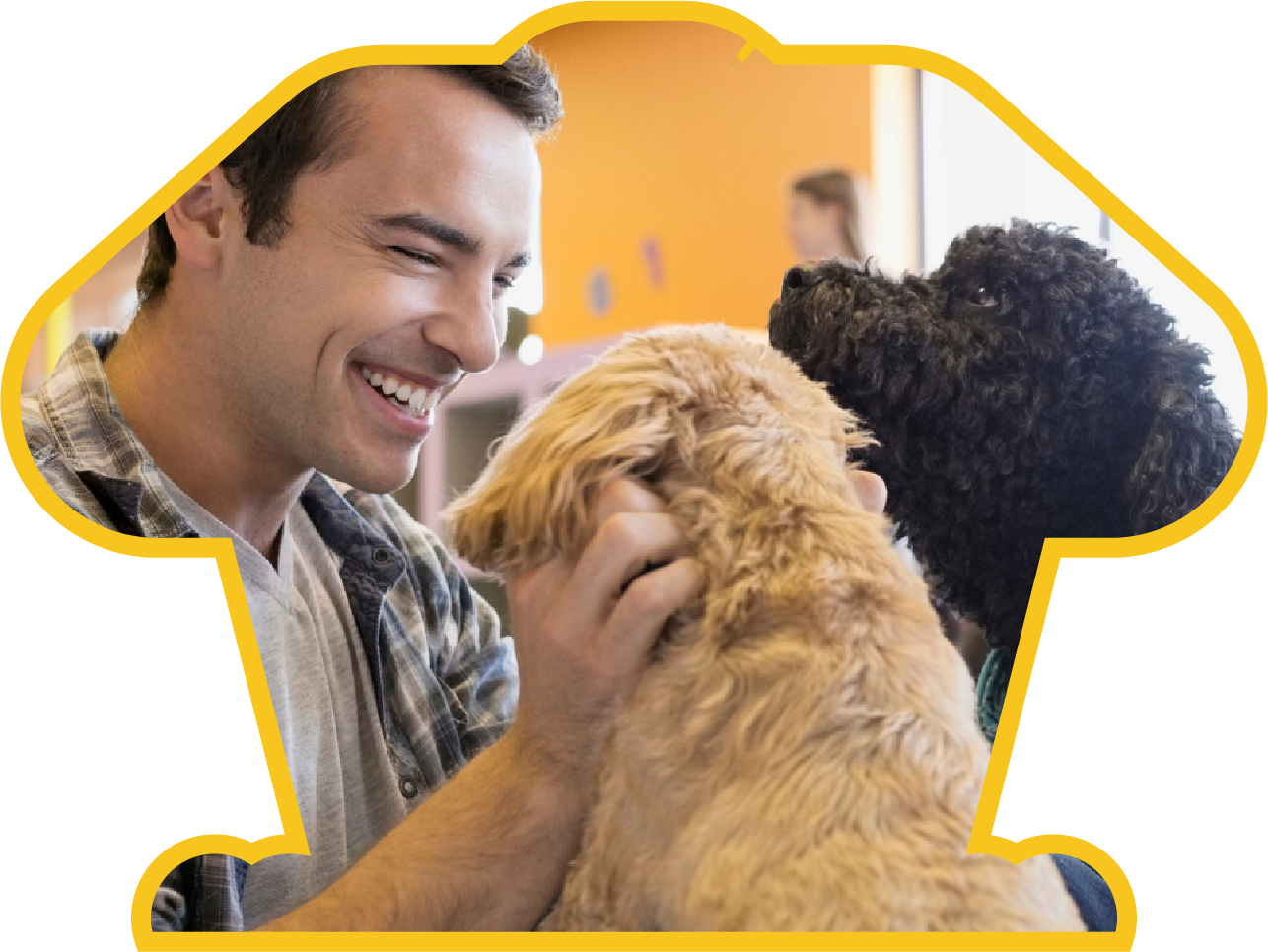 Home - Dog-E-Den - Sherman Oaks